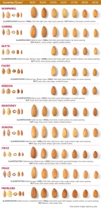 Almond Grades – Panoche Creek Packing